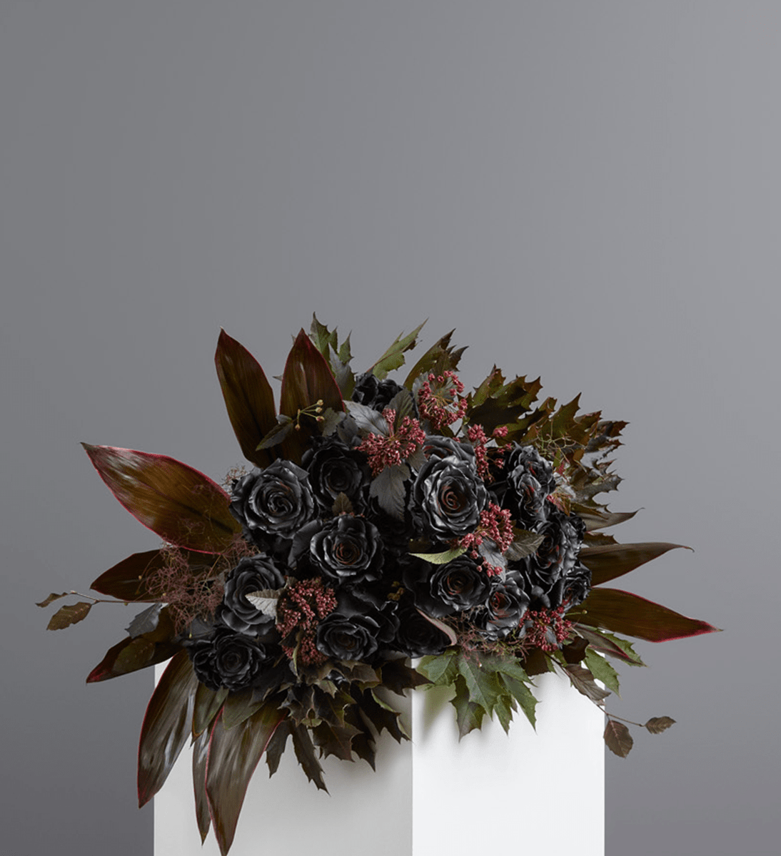 Black Beauty – watsonia-florist-24